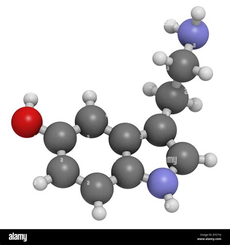 Serotonin Neurotransmitter Molecular Model Serotonin Is Also Known As 5 Hydroxytryptamine 5
