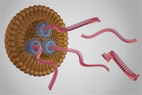 News Gene Editing Tools Delivery Methods And Challenges Crispr Medicine Crispr Medicine News