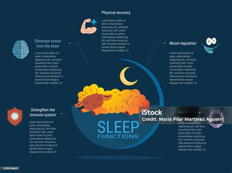 Sleep Functions Are Important For The Body Stock Illustration