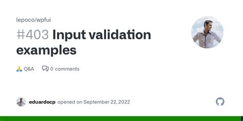 input validation examples · lepoco wpfui · discussion 403 · github