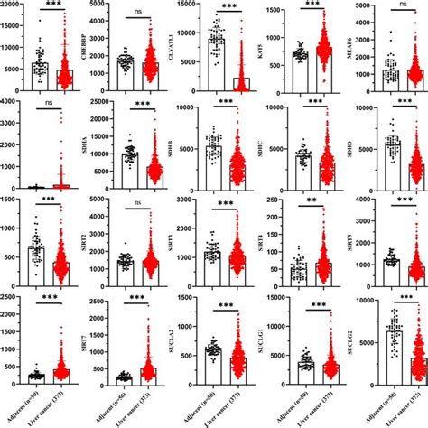 Comparison Expression Level Of 20 Succinylation Modification Related