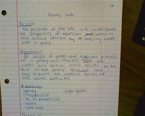 Labs Ms Hensons Biology Website