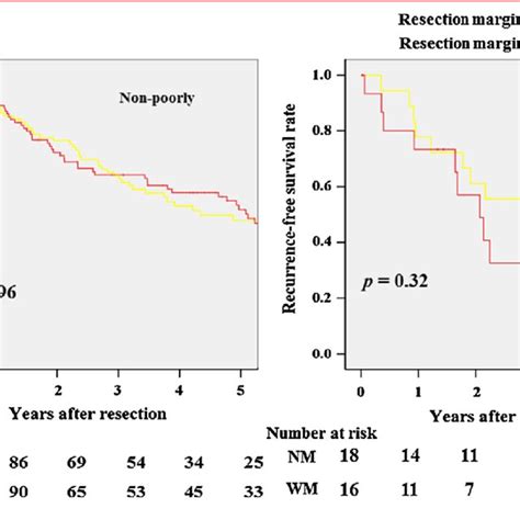 The Influence Of The Resection Margin Width On Recurrence Free Survival