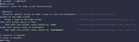 Ruby Terminal Execution Shows Rb Steps Before Feature Scenario Steps Stack Overflow