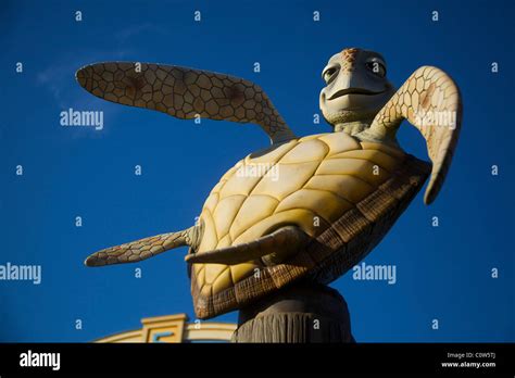 Finding Nemo Crush Sea Turtle