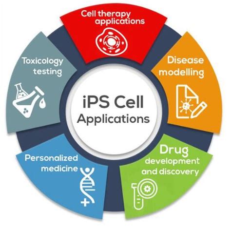 【干货分享】ipsc诱导多能干细胞全流程解决方案 哔哩哔哩