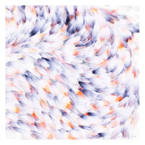 Generativeart Algorithmicart Creativecoding Creativecodeart