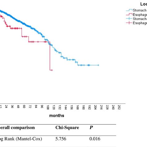 This Figure Shows The Distribution Of Distant Metastasis According To