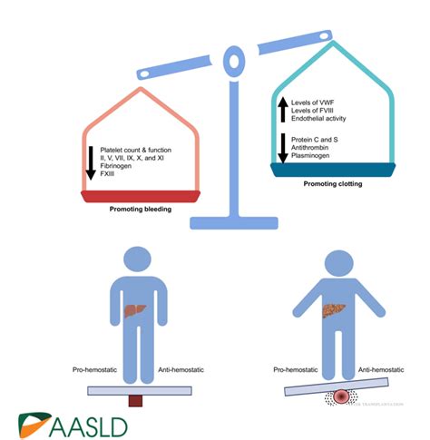 Understanding Bleeding Risks In Percutaneous Liver Procedures —who