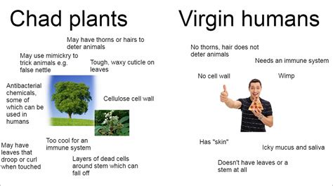 Chad Plants Vs Virgin Humans ·