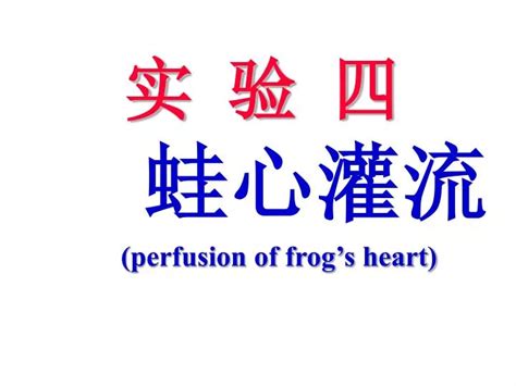 ppt 实 验 四 powerpoint presentation free download id 6835589