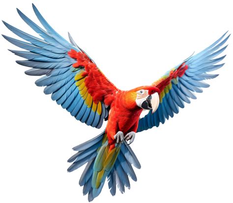 Loro Png Con Ai Generado 24722402 Png