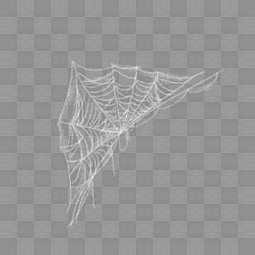 White Spider Web Realistic Style