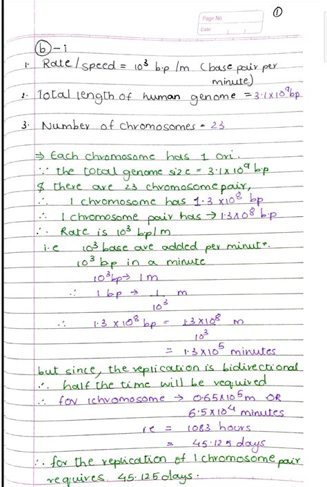 [solved] 1 1 Dna In The Cell Cycle Dna Replication Takes Place Course Hero