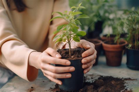 女孩细心养护植物高清图片下载 正版图片600286935 摄图网