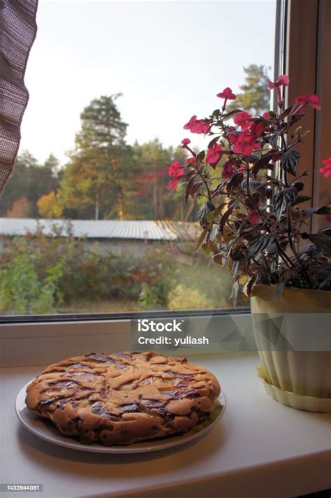 구운 샬롯 사과 파이 수제 케이크 디저트 갓 파이 아키메네스 꽃과 창문 근처의 커튼으로 구성 소나무 숲의 부엌에서 유리를 통해보기 가정 주방에 대한 스톡 사진 및 기타