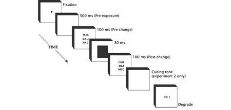 Stimulus Presentation For Experiments 2 And 3 Download Scientific Diagram