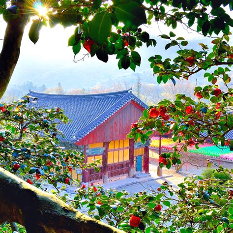 고창 선운사 단풍절정시기 입장료 가을 단풍 풍경 및 교통편 알아보기