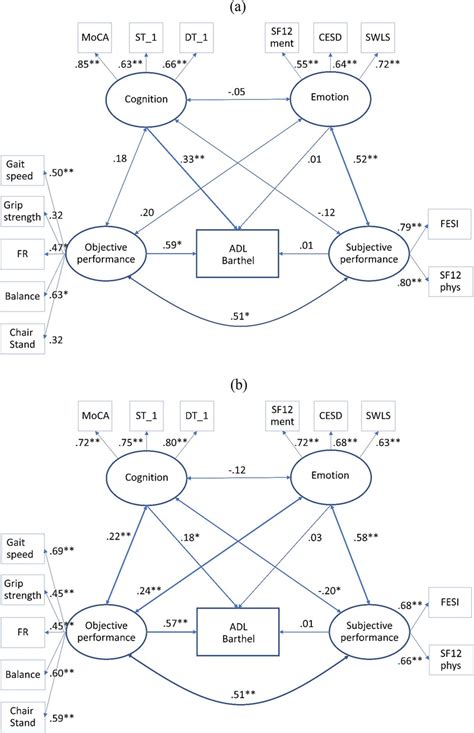 Structural Equation Model Sem Of Potential Predictors Of The Adls Download Scientific Diagram