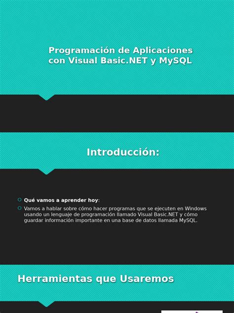 Programación De Aplicaciones Con Visual Basic Conexion Pdf Mi Sql