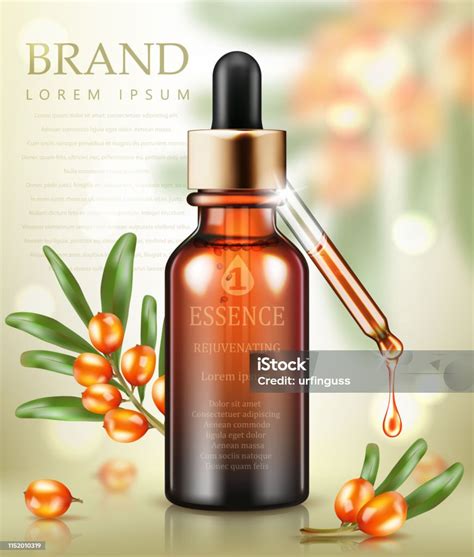 화장품 광고 템플릿입니다 바다 갈 매 나무속 오일과 바다 갈 매 나무의 방울과 에센스의 병 Bokeh 배경 벡터 일러스트 0명에 대한 스톡 벡터 아트 및 기타 이미지