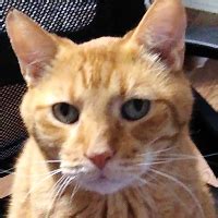 James Westman GitLab