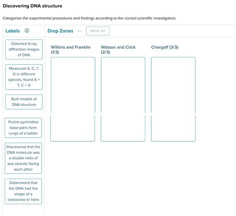 Solved Discovering DNA Structure Categorize The Experimental Chegg Com