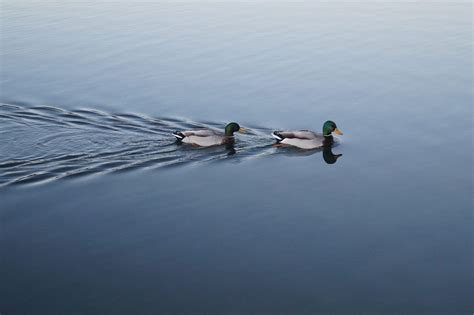 How To Use Postgres As A Message Queue Rpostgresql
