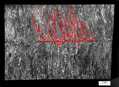 Observation Of Equiaxed Grains In The Transverse Section Of A Slab Cast