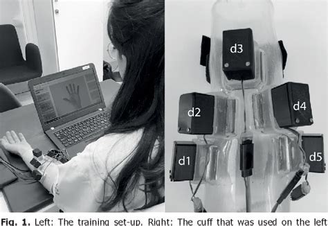Figure 1 From Touch On Predefined Areas On The Forearm Can Be Associated With Specific Fingers