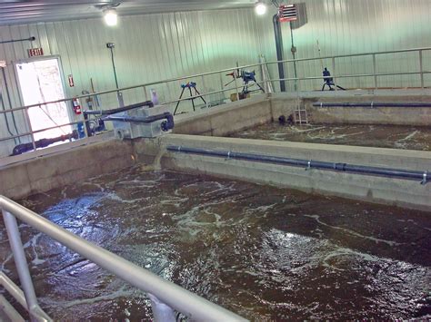 Extended Aeration Systems Napier Reid