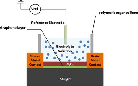 Schematic Illustration Of A Graphene Based Isfet With A Layer Of