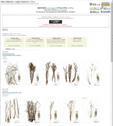 A System That Automatically Identified The Taxa Name From An Image Of A Download Scientific
