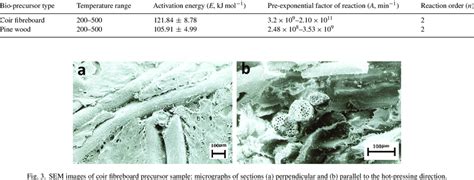 Kinetic Parameters For Thermal Decomposition Reaction Of Bio Precursor