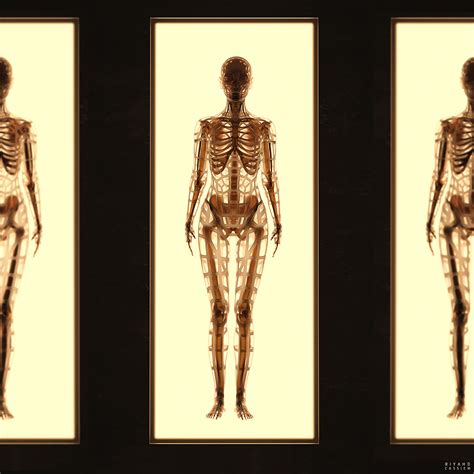 Prototype On Behance