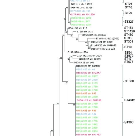 Phylogenetic Tree Of Concatenated Mlst Gene Alleles Adk Fumc Icd Download Scientific