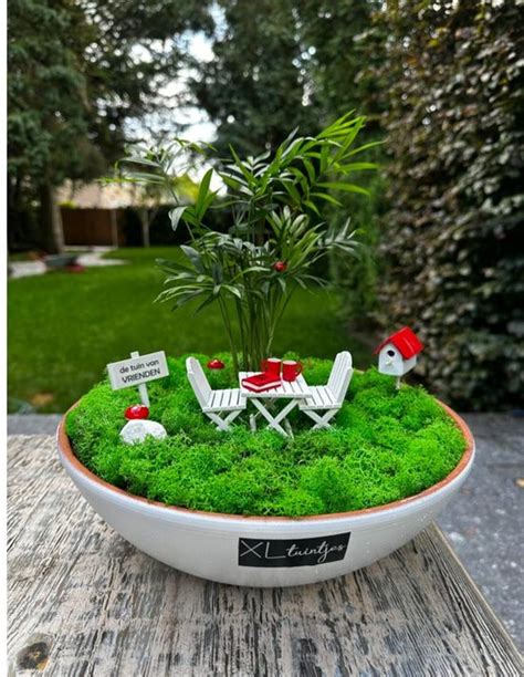 Xl Tuintjes Best Friend L I Handgemaakte Persoonlijke Miniatuurtuinen Flower Bol