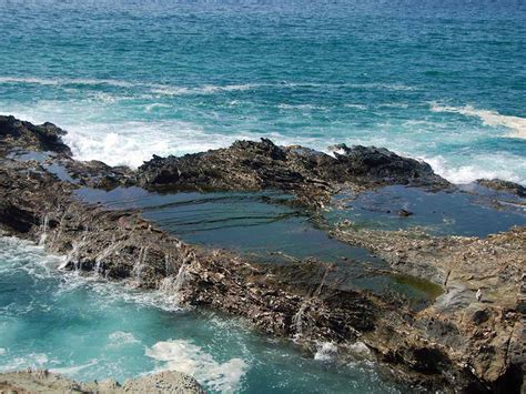 Rocky Intertidal Zones