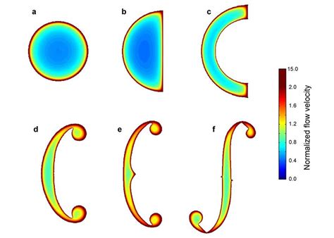 Power Efficiency In The Violin Mit News Massachusetts Institute Of Technology