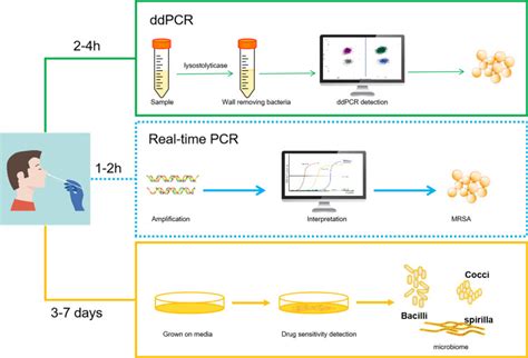 Multiplex Digital Pcr Based Development And Discussion Of The Detection Of Genetic Association