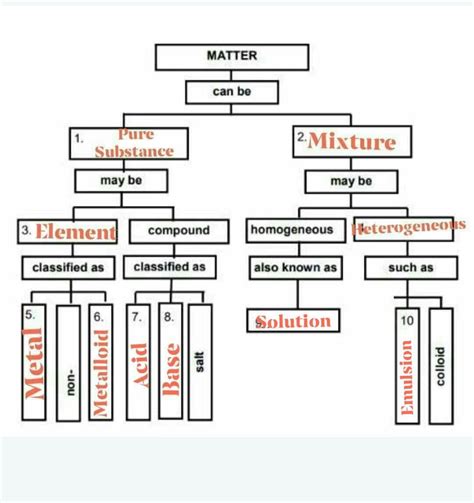 Fill In The Missing Information In The Concept Map About The