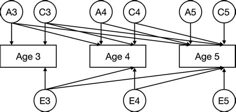 Multivariate Cholesky Decomposition Model Note A3 C3 And E3 Represent