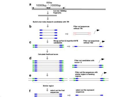 The Core Algorithm Of Mitefinderii In The Mite Detection A A Whole