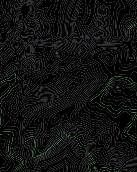 Abstract Black And Green Topographic Map Art
