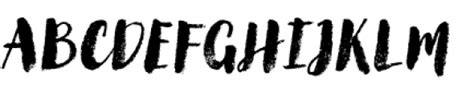 Canvas Script Heavy Font Script Decorative What Font Is