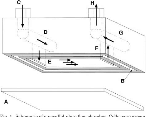 Figure 1 From Osteoblasts Respond To Pulsatile Fluid Flow With Short Term Increases In Pge 2