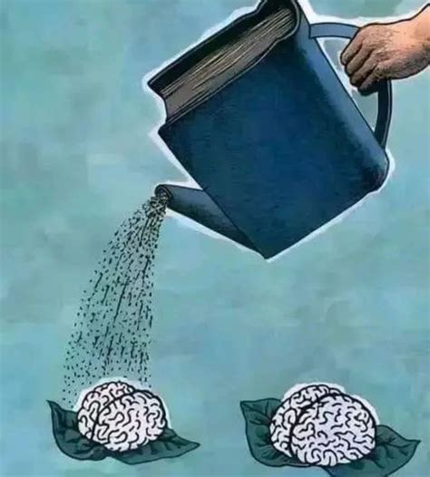 Ansar Mazhar On Linkedin 12 Reasons Why Reading Books Should Be Part