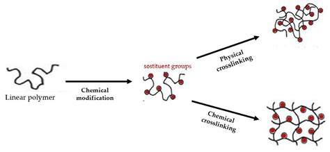 Green Chemistry Principles For Cellulose Based Hydrogels Encyclopedia