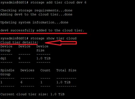 configure ecs cloud tier with data domain dell india