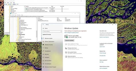 How To Enable Disable The Pause Updates Feature For